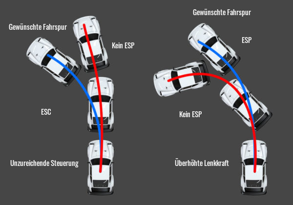 Produktsuche - amewi.com